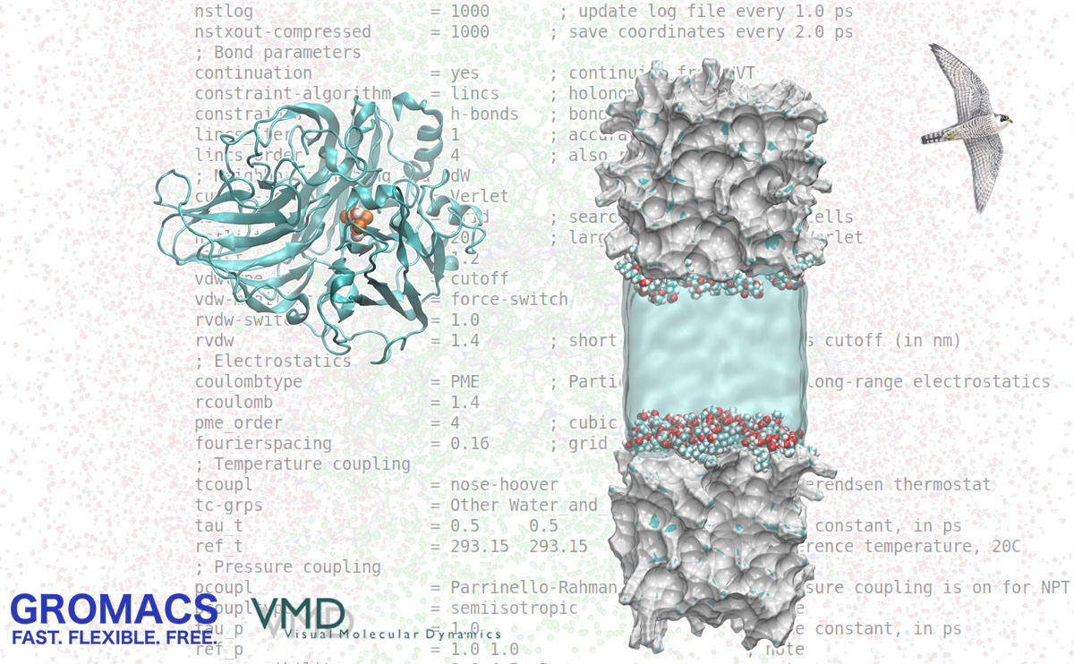 Online GROMACS Workshop - InSilicoSci